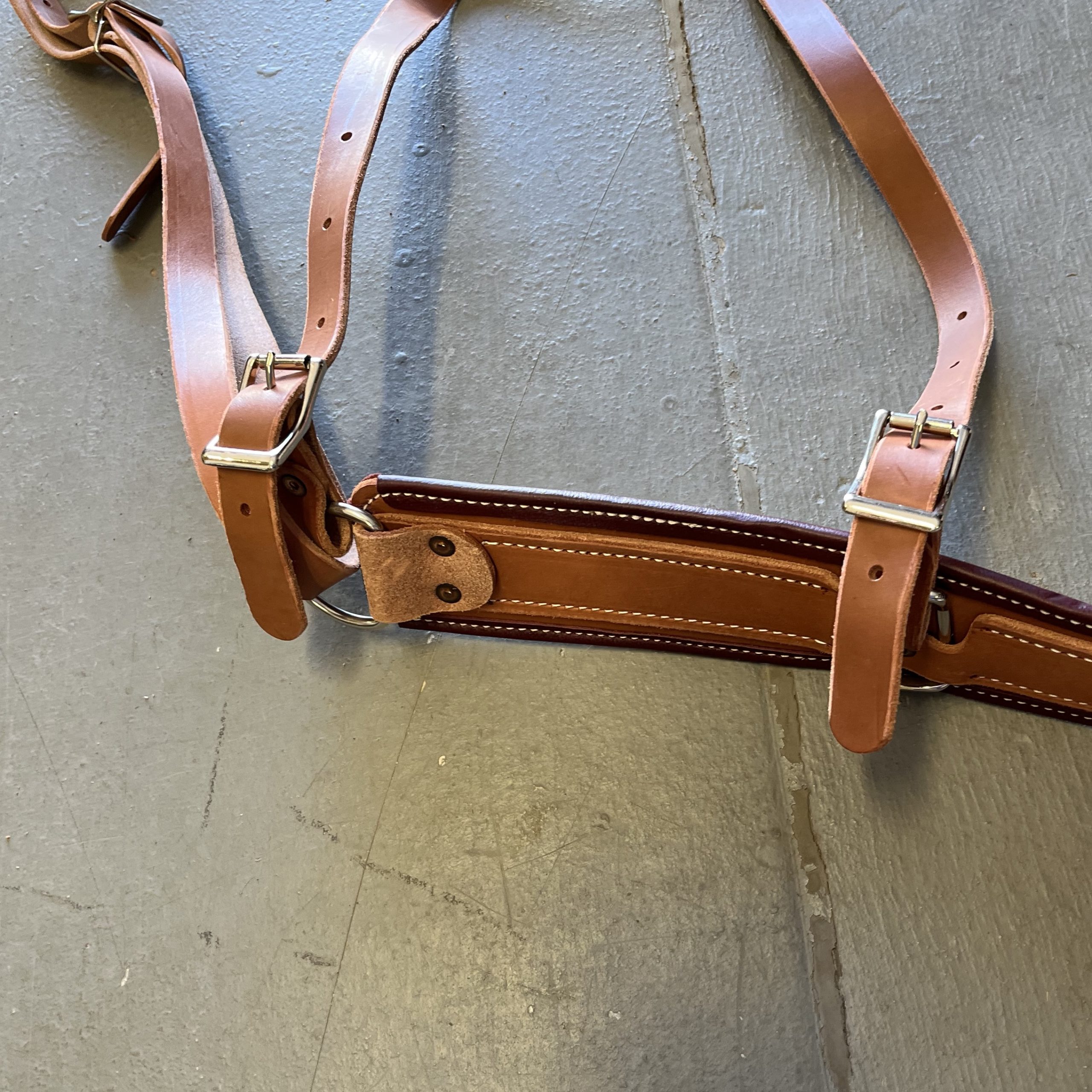 Britchen - Queen Valley Mule Ranch