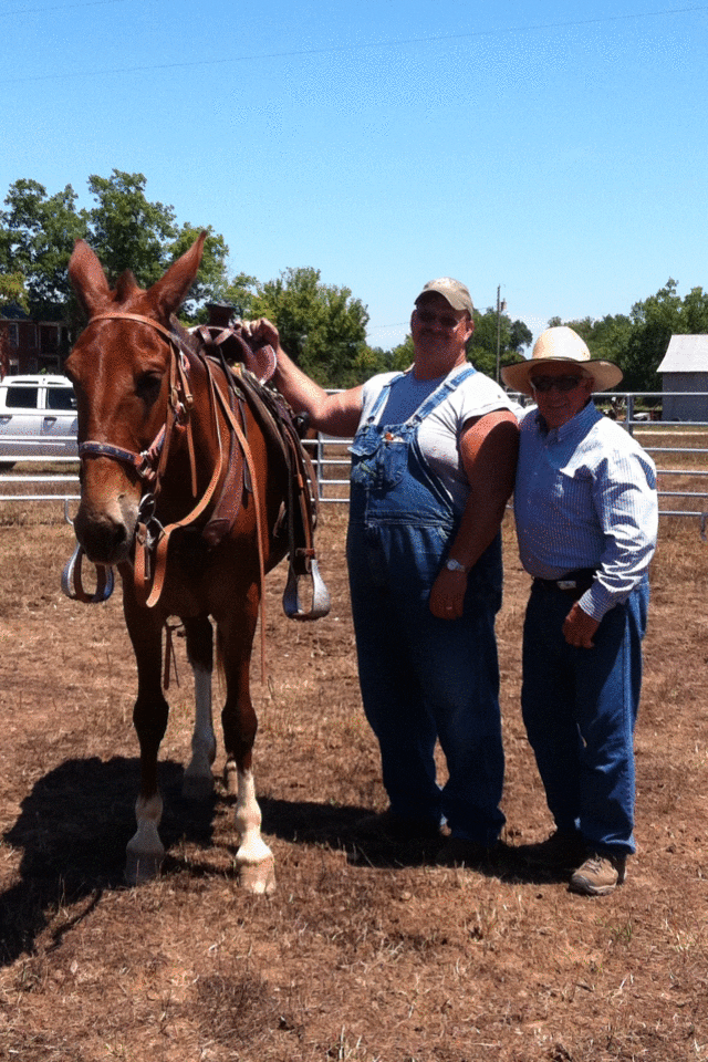 Saddle Pad Mule New - Queen Valley Mule Ranch